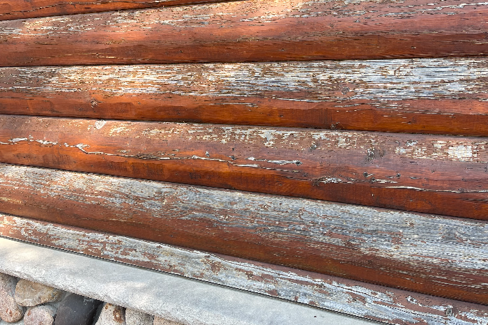 How Log Homeowners Can Prevent Mold & Mildew Growth